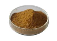 China USP Grade Organic Ginkgo Biloba Powder for sale