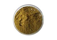 China 24% Flavones 6% Lactones Pure Natural Ginkgo Biloba Extract Powder for sale
