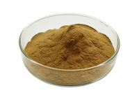 China Owering Blood Pressure Ginkgo Biloba Bulk Powder for sale