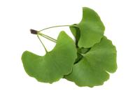 China CAS 90045-36-6 Organic Dry Leaves Ginkgo Biloba Extract Powder for sale