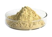 China Pharmaceutical 80% Panax Root Natural Ginseng Extract Powder for sale
