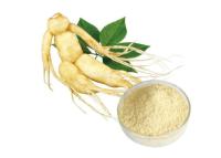 China CAS 90045-38-8 80% Ginsenosides Pure Herbal Ginseng Root Powder for sale