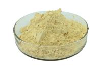 China 30% Ginsenosides Anti Aging Light Yellow Ginseng Extract Powder for sale