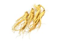 China 30% Ginsenosides Anti Aging Light Yellow Ginseng Extract Powder for sale
