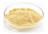 China Food Grade Panaxoside Ginseng Extract Powder For Health Products for sale
