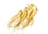 China Natural Ginseng Extract Powder for sale