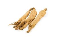 China Health Care Improving Immune Root Ginseng Extract Powder for sale