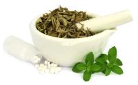 China Lose Weight Food Grade 95% Stevia Leaf Extract Powder for sale