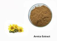 China Arnica Plant Extract Powder for sale
