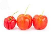 China Vitamin C 17% 25% Acerola Cherry Natural Fruit Extract Powder for sale