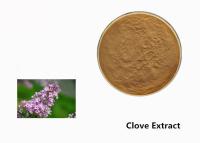 China Brown Clove Flower Plant Extract Powder For Food Additive for sale