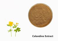 China Celandine Plant Extract Powder for sale