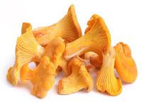 China 30% Polysaccharides Chantarelle Mushroom Extract Powder for sale
