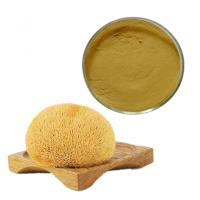 China Anti Viral 50% Beta D Glucan Organic Lion'S Mane Mushroom Powder for sale