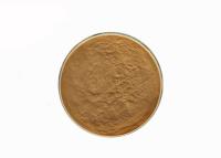 China Hericum Erinaceus 10% Polysaccharides Mushroom Extract Powder for sale