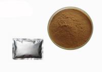 China Anti Fatigue Food Grade Shiitake Mushroom Extract Powder for sale