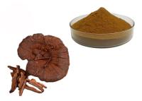 China 50% Purity Ganoderma Lucidum Reishi Mushroom Extract Powder for sale