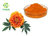 China Natural Pigment Xanthophyll Marigold Flower Herbal Extract Powder for sale