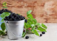 China Anthocyanin Fruit Mulberry Herbal Extract Powder For Food Additives for sale
