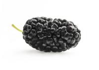 China Anthocyanin Fruit Mulberry Herbal Extract Powder For Food Additives for sale