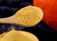 China Food Grade Fruit Concentrate Pumpkin Vegetable Extract Powder for sale