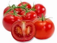 China 6% 10% 20% Lycopene 502-65-8 Dehydrated Tomato Fruit Extract for sale