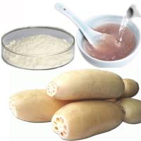 China Meal Replacement Pure Natural Lotus Root Vegetable Extract Powder for sale