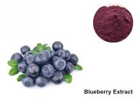 China Organic Blueberry Extract Powder For Eyes for sale