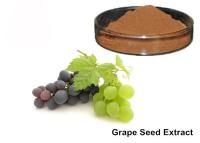 China 25% Anthocyanins Pure Grapeseed / Grape Skin Extract Powder for sale