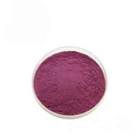 China Concentrated Juice Black Currant 10% Anthocyanin Extract Powder for sale