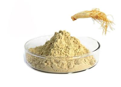 China CAS 90045-38-8 80% Ginsenosides Pure Herbal Ginseng Root Powder for sale