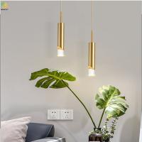 China Home / Hotel E27 Modern Pendant Light Metals Art Baking Paint for sale