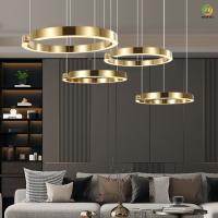 China LED Modern And Fashionable  Pendant Light Used For Home / Hotel / Showroom for sale
