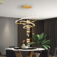 China Mirror Titanium Home Art Baking Paint Gold LED Nordic Pendant Light for sale