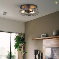 China Used For Home/Hotel/Showroom E26 Fashionable Atmosphere  Ceiling Light for sale