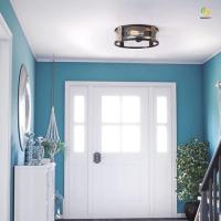 China Used For Home/Hotel/Showroom Incandescent Without Bulb Fashionable Atmosphere  Ceiling Light for sale