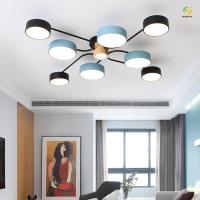 China Used For Home/Hotel/Showroom LED Fashionable Atmosphere Ceiling  Light for sale