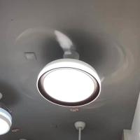 China 42 Inch Led Chandelier For Bedroom Remote Control Ceiling Fan Light for sale