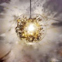 China D25 / 28CM Wedding Decoration Lamp Living Room Pendant Light for sale