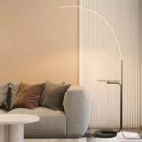 China Showroom Bedroom Led Modern Floor Light Smart Adjustable Black Standing Lamp for sale