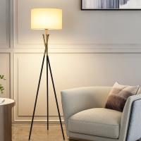 China Luxury Vertical RGB Atmosphere Floor Lamp For Hotel Study Bedroom Bedside Decoration for sale