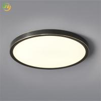 China LED Ceiling Lamp End Design Modern Simple and Environmentally Friendly for sale
