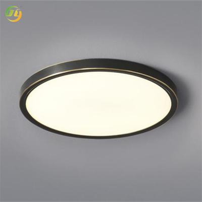 China LED Ceiling Lamp End Design Modern Simple and Environmentally Friendly for sale