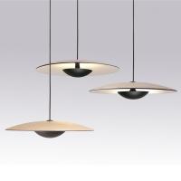 China JYLIGHTING Wholesale China Factory Traditional Hotel Dining Room Modern Chandelier Pendant Light Modern Pendant Light for sale