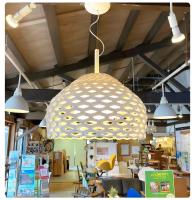 China JYLIGHTING Modern Iron & PVC Honeycomb Pendant Light, Dome-Shaped Perforated Hanging Lamp for Kitchen & Dining Room, 2 Colors Available for sale