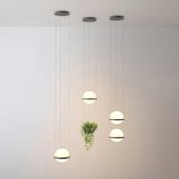 China JYLIGHTING Contemporary Multi-Functional Pendant Lamp, Iron Suspension System with Frosted Acrylic Globes and Planter for Indoor Greenery for sale
