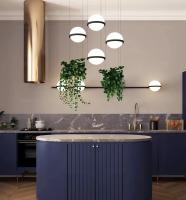 China JYLIGHTING Contemporary Multi-Functional Pendant Lamp, Iron Suspension System with Frosted Acrylic Globes and Planter for Indoor Greenery for sale