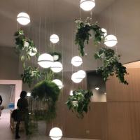 China JYLIGHTING Contemporary Multi-Functional Pendant Lamp, Iron Suspension System with Frosted Acrylic Globes and Planter for Indoor Greenery for sale