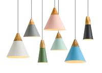 China AC85V 31W Minimalist Colorful 140*280mm Modern Bedroom Pendant Light for sale