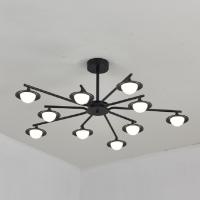 China Unique Acrylic Black Aluminum Modern Pendant Light Different Shape for sale